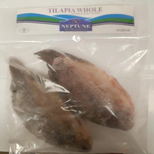 Buy Neptune Frozen Tilapia Whole (1KG) Online – Lakshmi Stores UK